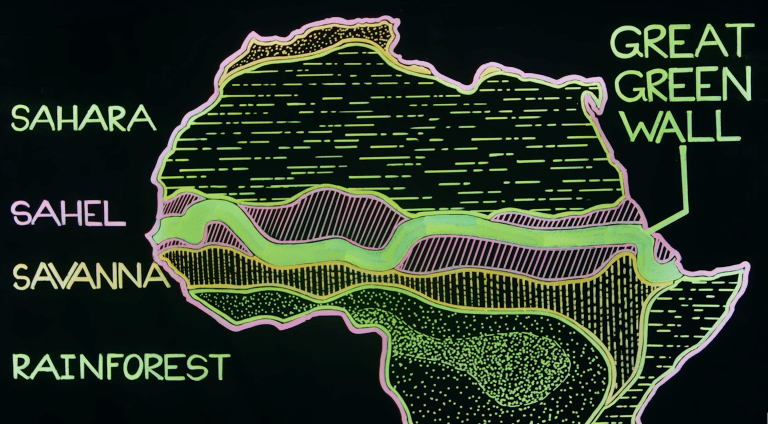 How 8,000 Food Forests Grew Africa’s Great Green Wall – Our Wonderful ...