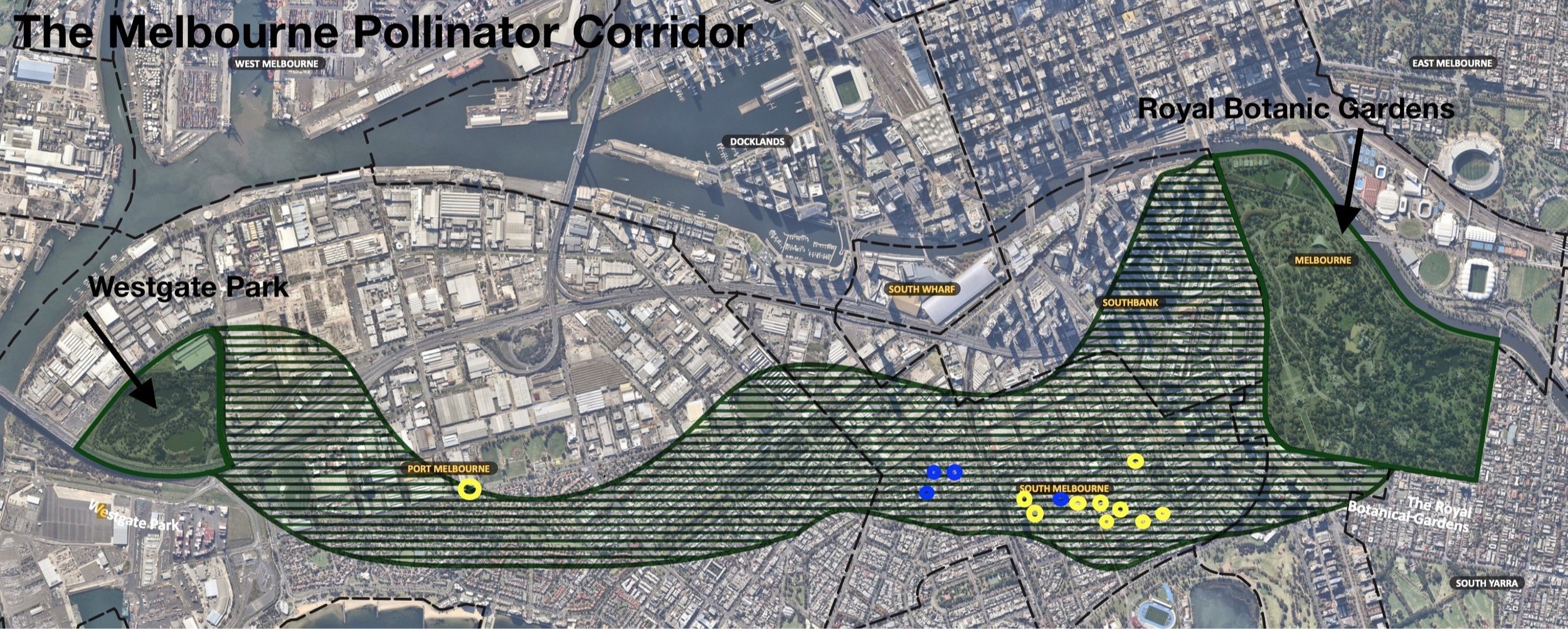 Melbourne Pollinator Corridor: Restoring Biodiversity in Urban ...